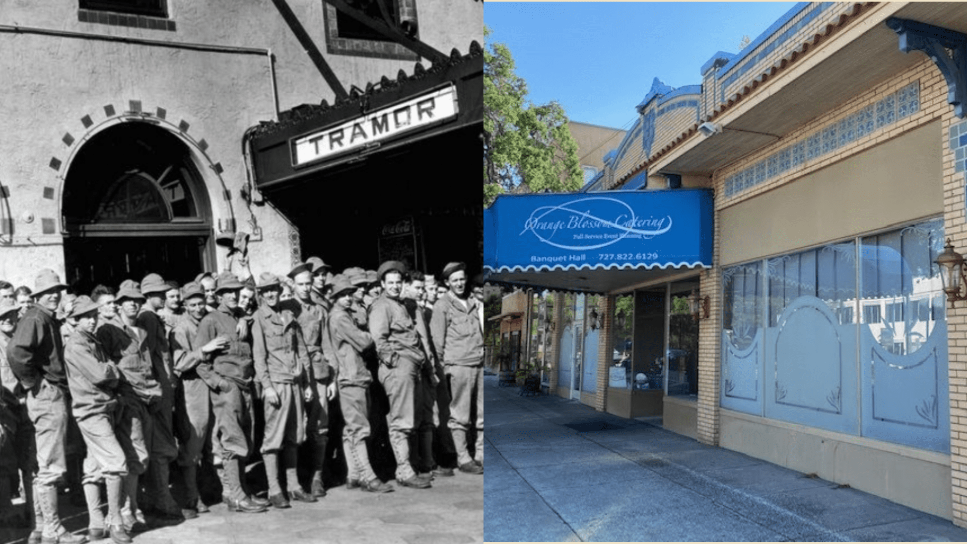 From cafeteria to craft brewery: The evolution of Orange Blossom and St ...