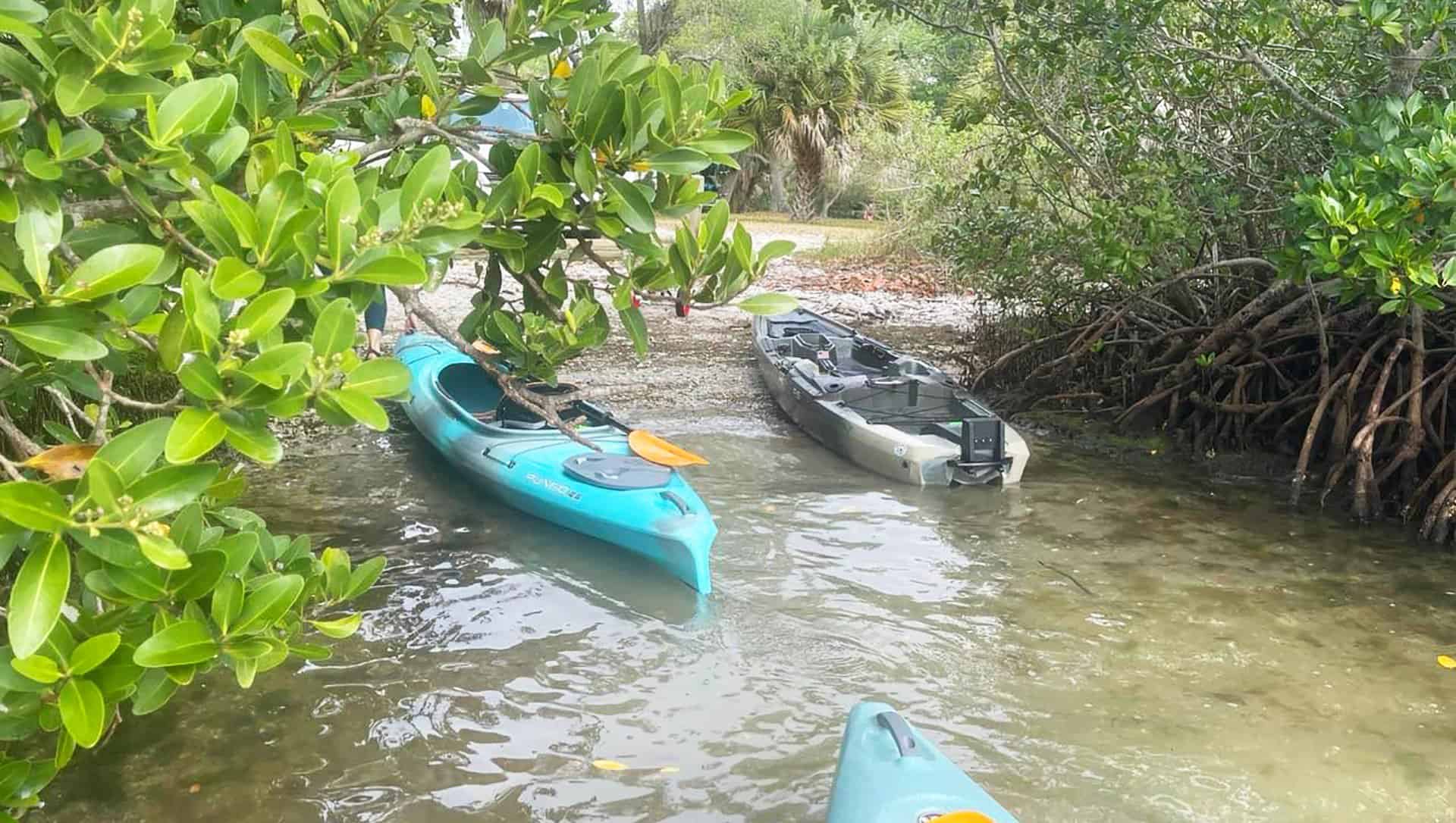 ECOmersion Kayaks open new location from 112-acre park in St. Pete